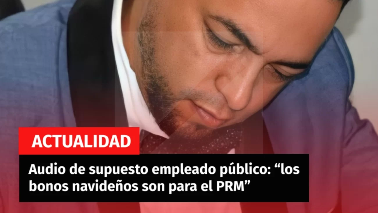 Audio de supuesto empleado público: “los bonos navideños son para el PRM” Audio de supuesto empleado público: “los bonos navideños son para el PRM”